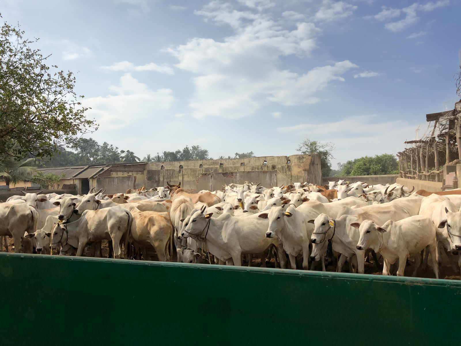 Home – Hanu Reddy Ongoles